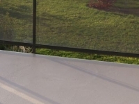 Avis sur Freitag Freitasol Color