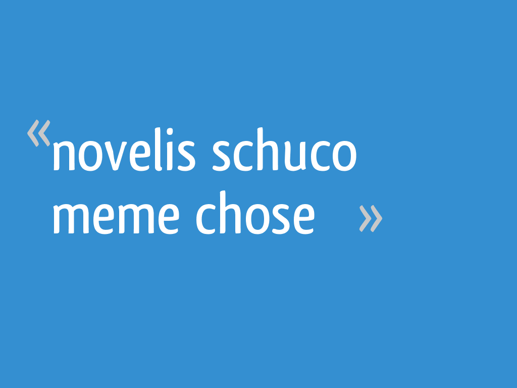 Novelis schuco meme chose