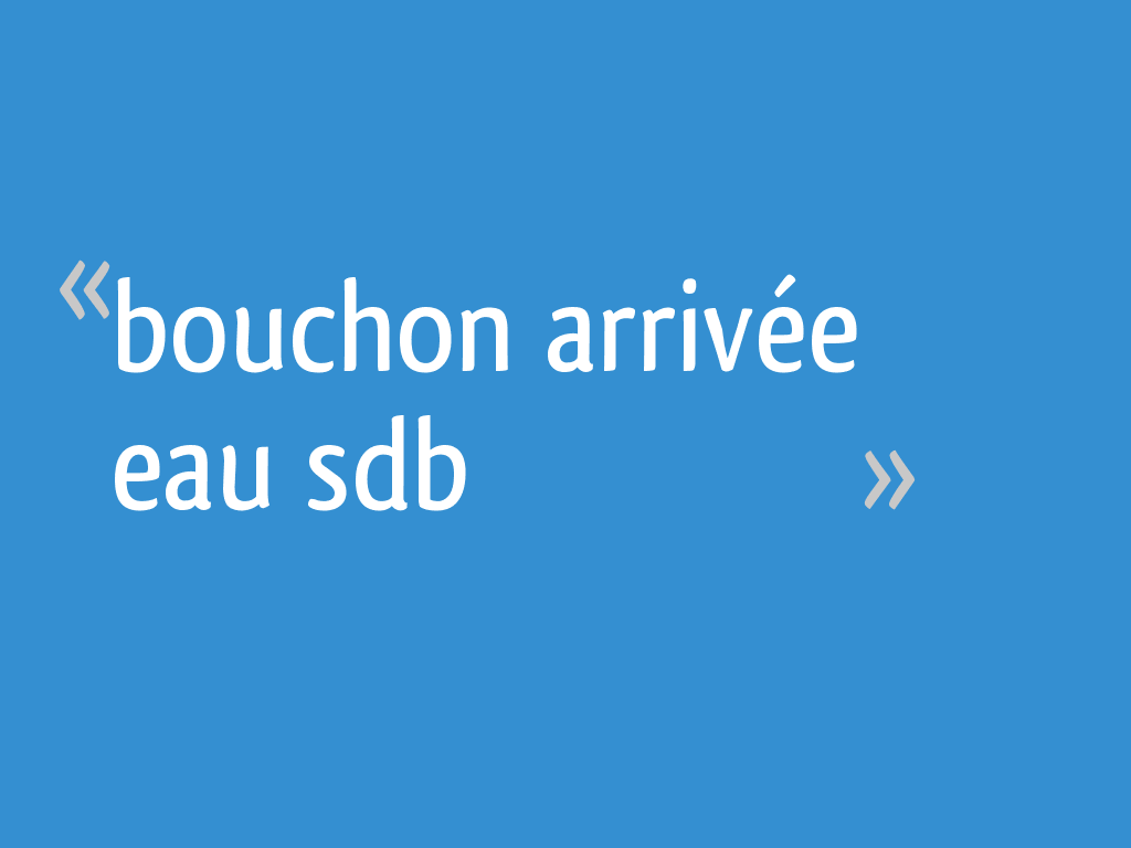 Bouchon arrivée eau sdb - 6 messages