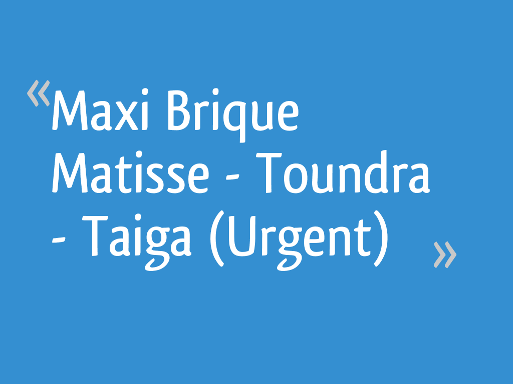Maxi Brique Matisse - Toundra - Taiga (Urgent) - 5 messages