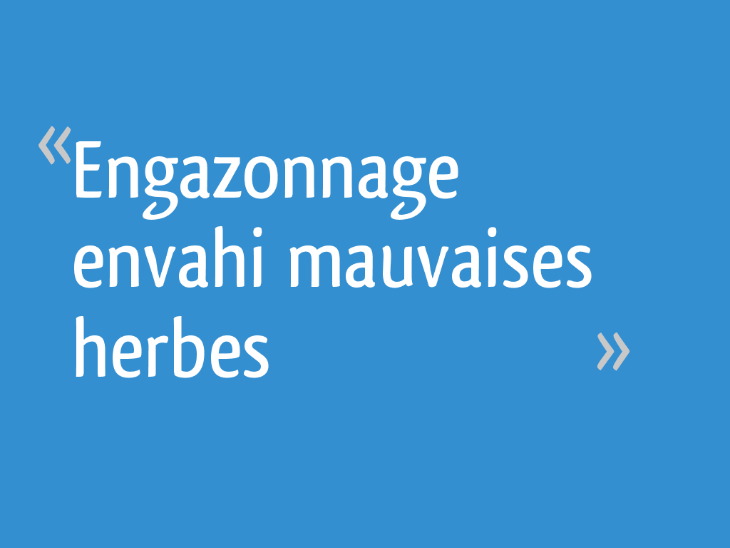 Engazonnage envahi mauvaises herbes - 12 messages