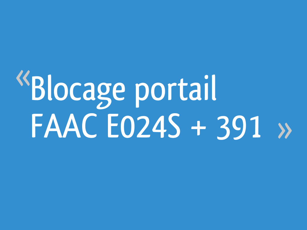 Blocage portail FAAC E024S + 391