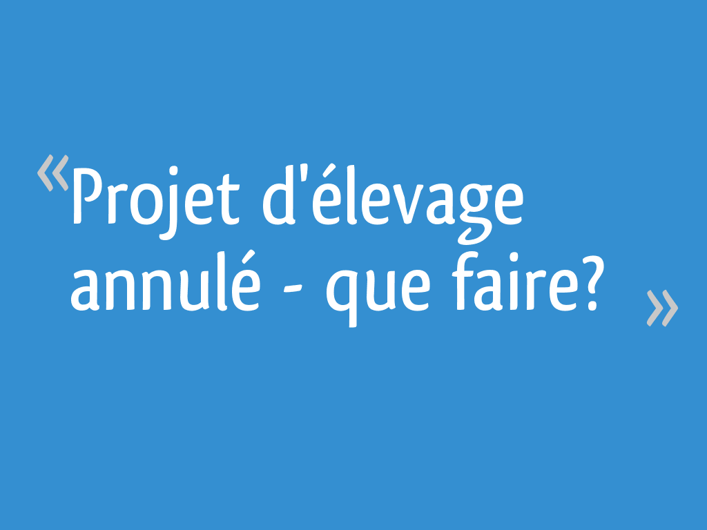 Projet d'élevage annulé - que faire? - 38 messages