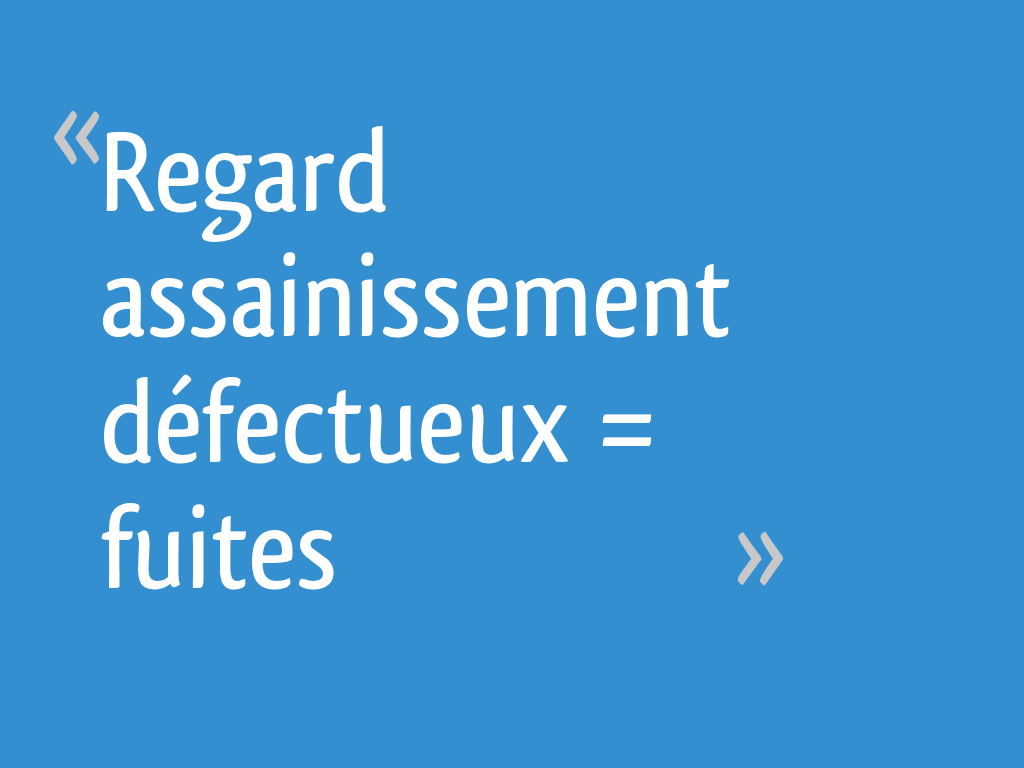 Regard assainissement défectueux = fuites