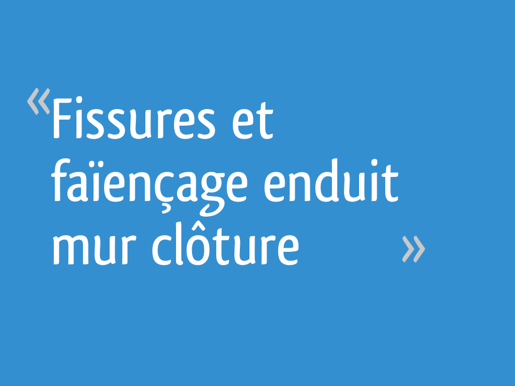 Fissures et faïençage enduit mur clôture - 7 messages