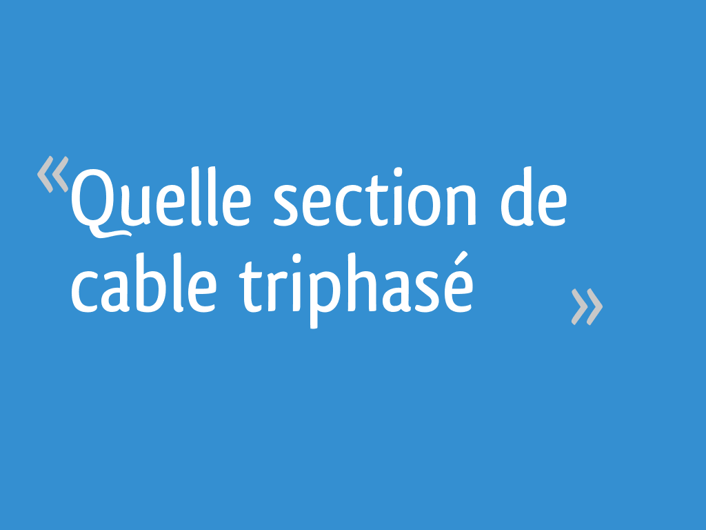 Quelle section de cable triphasé [Résolu] - 14 messages
