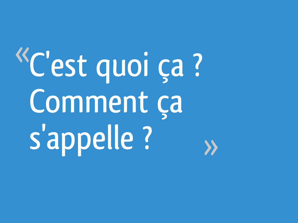 C'est quoi ça ? Comment ça s'appelle ? - 7 messages