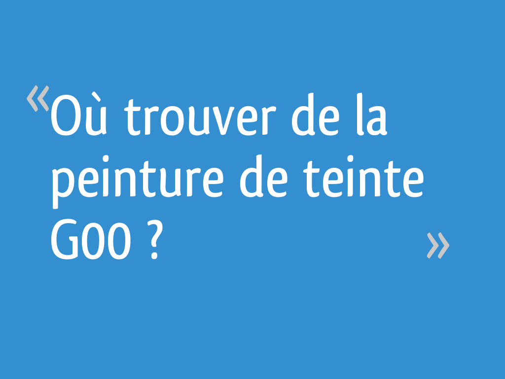 Où trouver de la peinture de teinte G00 ? - 12 messages