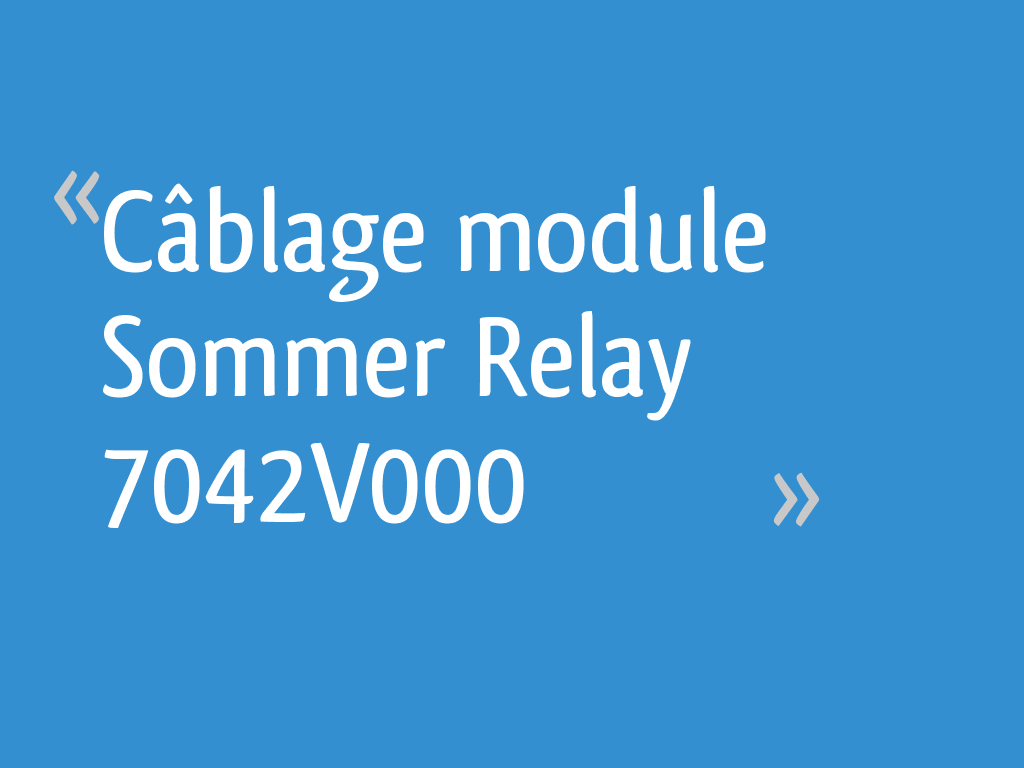 Câblage module Sommer Relay 7042V000