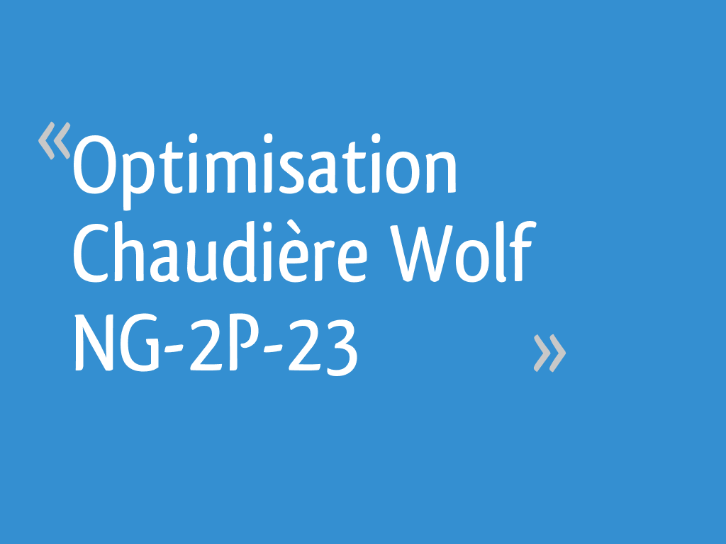 Optimisation Chaudière Wolf NG-2P-23