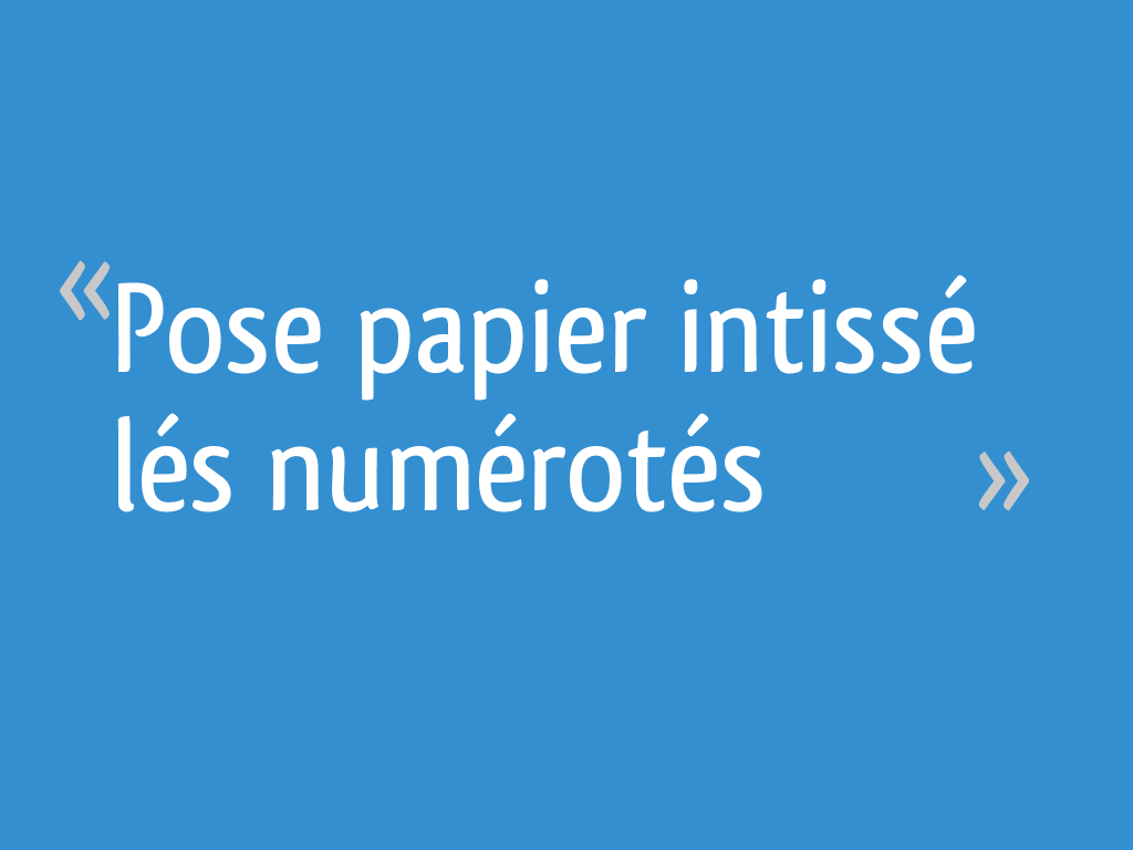 Pose papier intissé lés numérotés [Résolu]