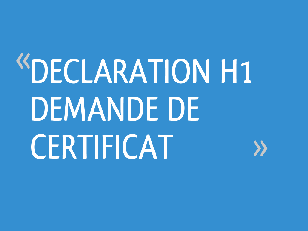 Déclaration H1 En Ligne