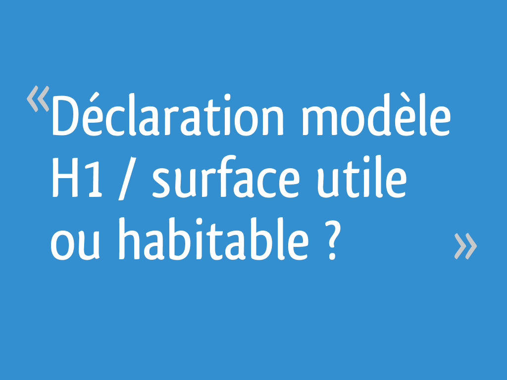Déclaration modèle H1 / surface utile ou habitable ? - 8 messages