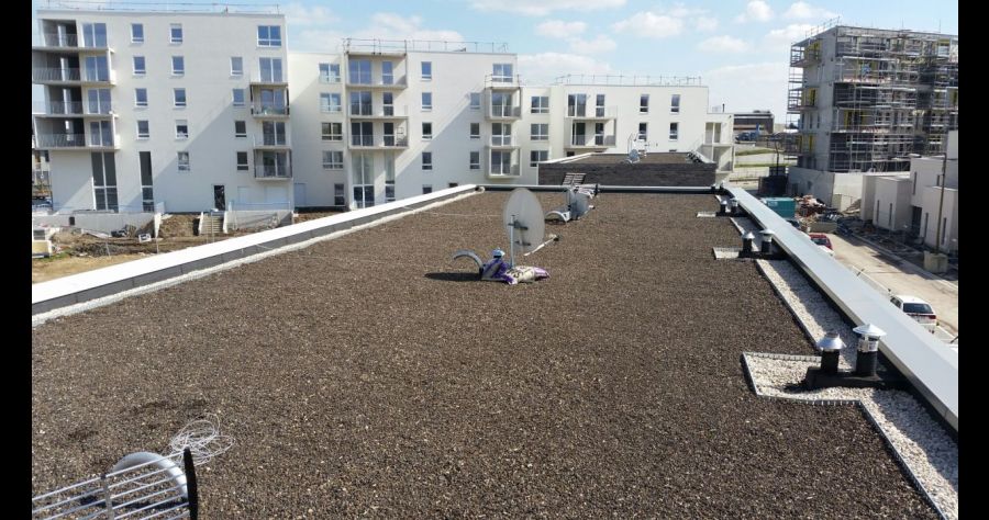 Lille South Side - Projet Pierre & Territoires de France, Lille (Nord)