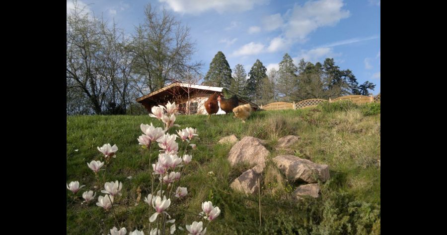 Projet maison Viviane & Eric , Fain Les Montbard (Cote D'or)